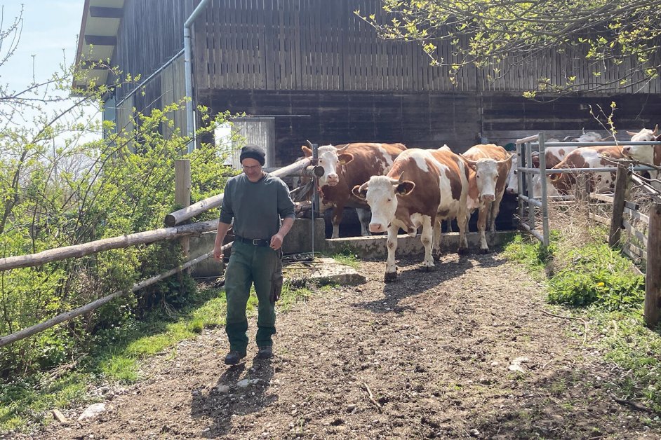 Demeter - das gewisse Extra - 2 - 2024 - Blog - Molkerei ...