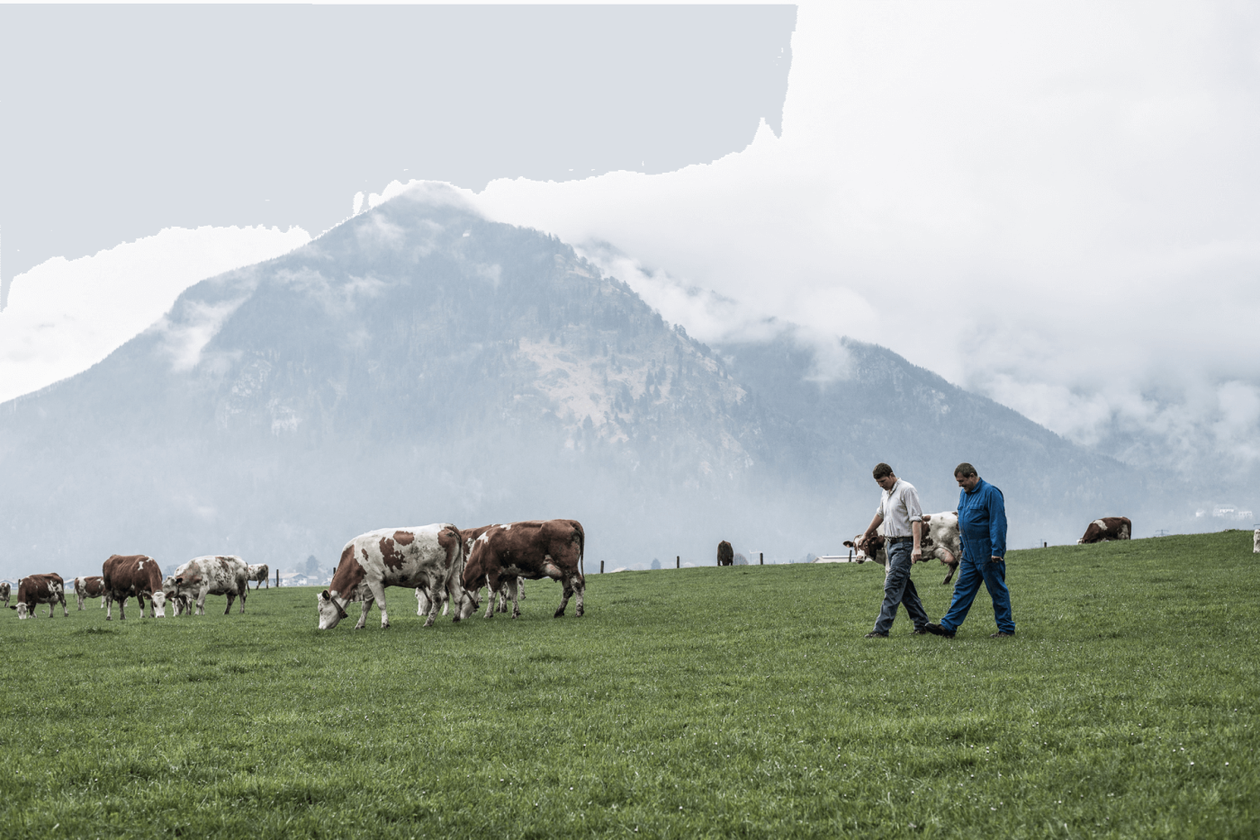 Barista-Trick: So gelingt der perfekte Milchschaum - 8 - 2025 - Blog ...